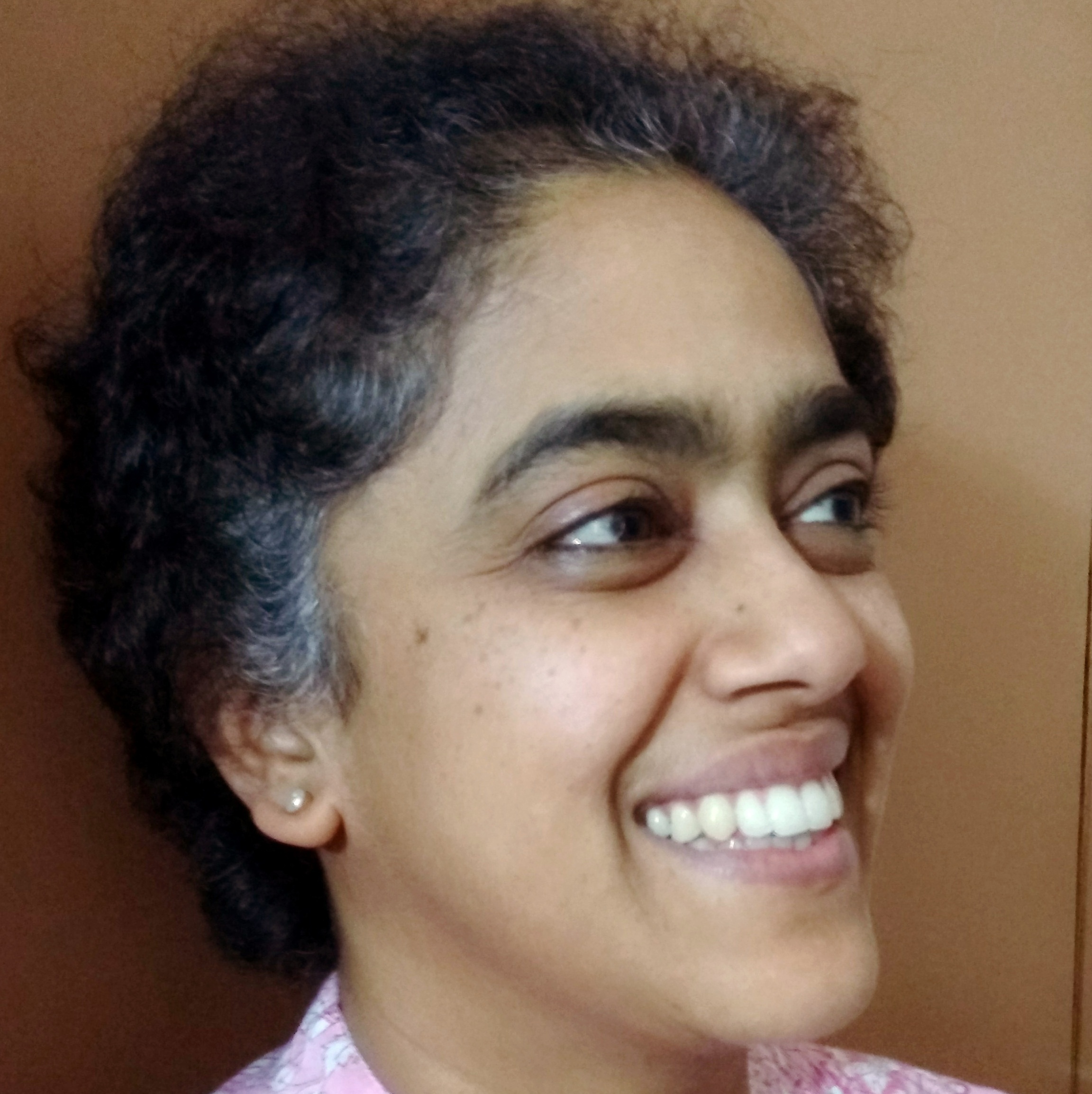 Bindu Gopal Rao, Author at Vacationer Magazine
