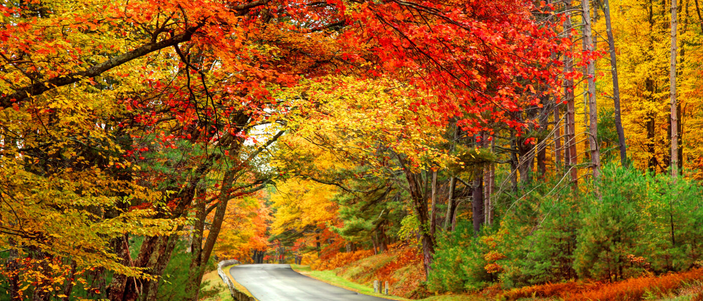6 Scenic Road Trips to See Colorful Fall Foliage - Vacationer Magazine