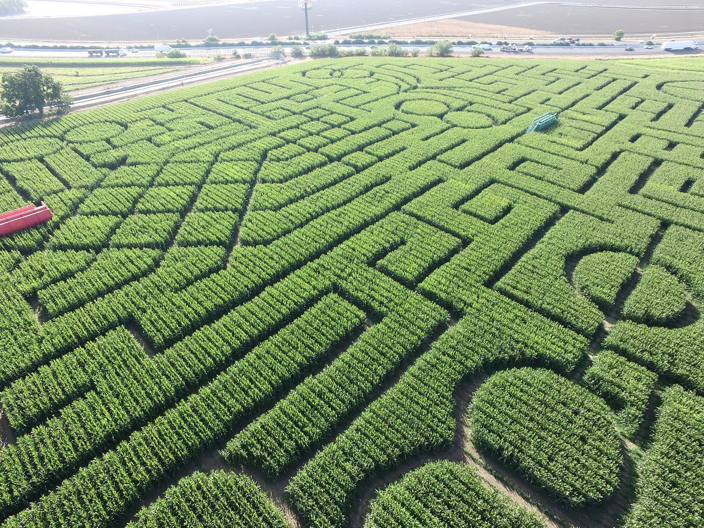 USA Today Reveals the Nation's Top Corn Mazes - Vacationer Magazine