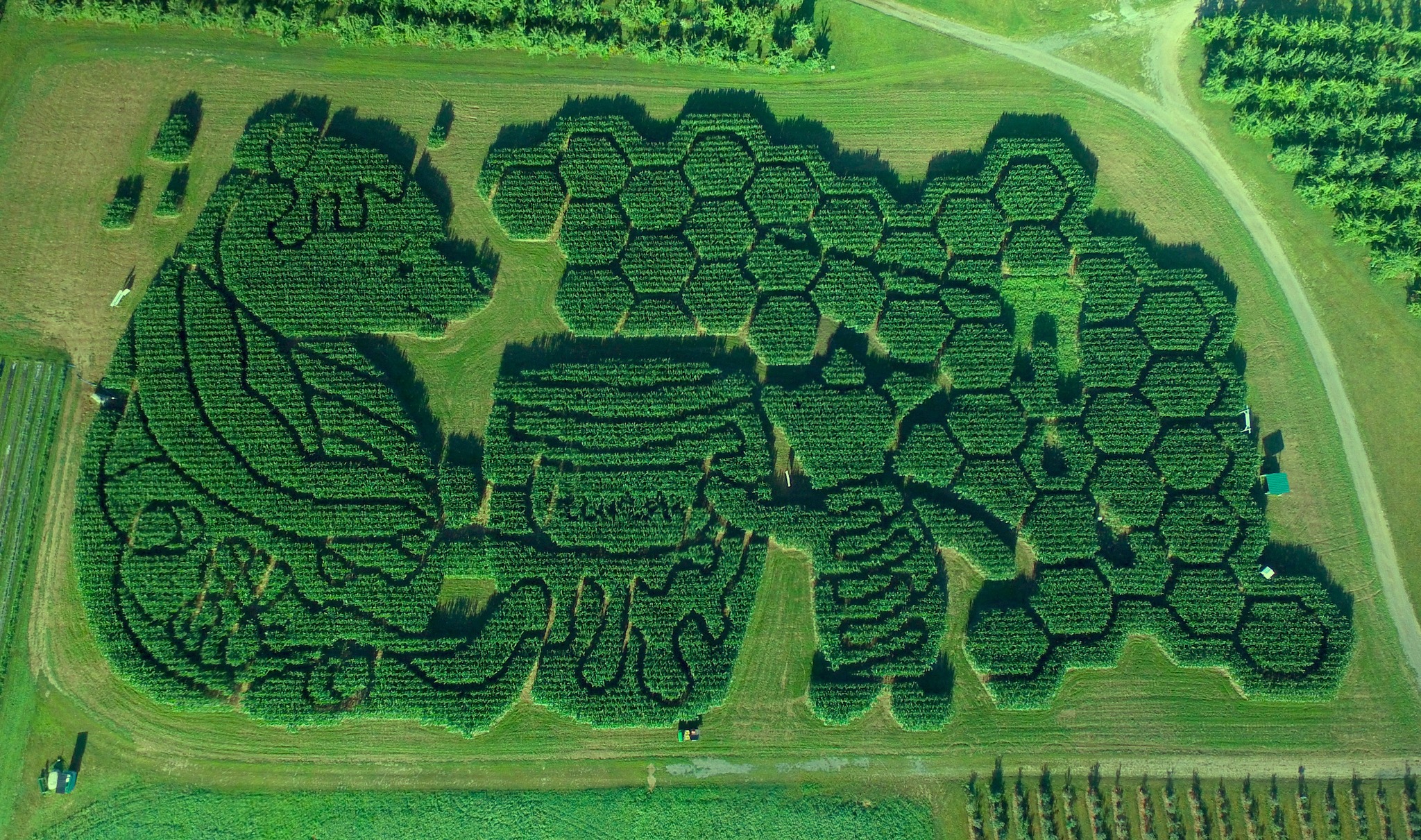 USA Today Reveals the Nation's Top Corn Mazes - Vacationer Magazine