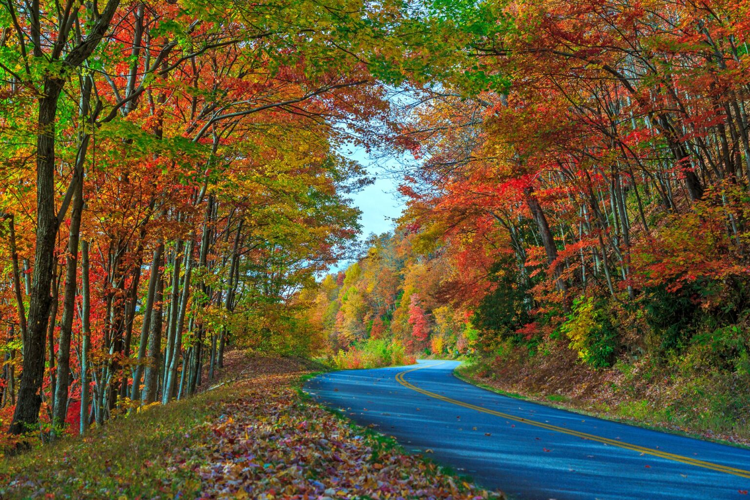 What's New This Fall in Asheville? - Vacationer Magazine